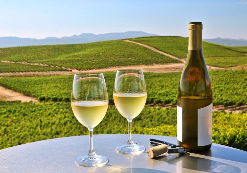 Winery In Helotes TX Blog